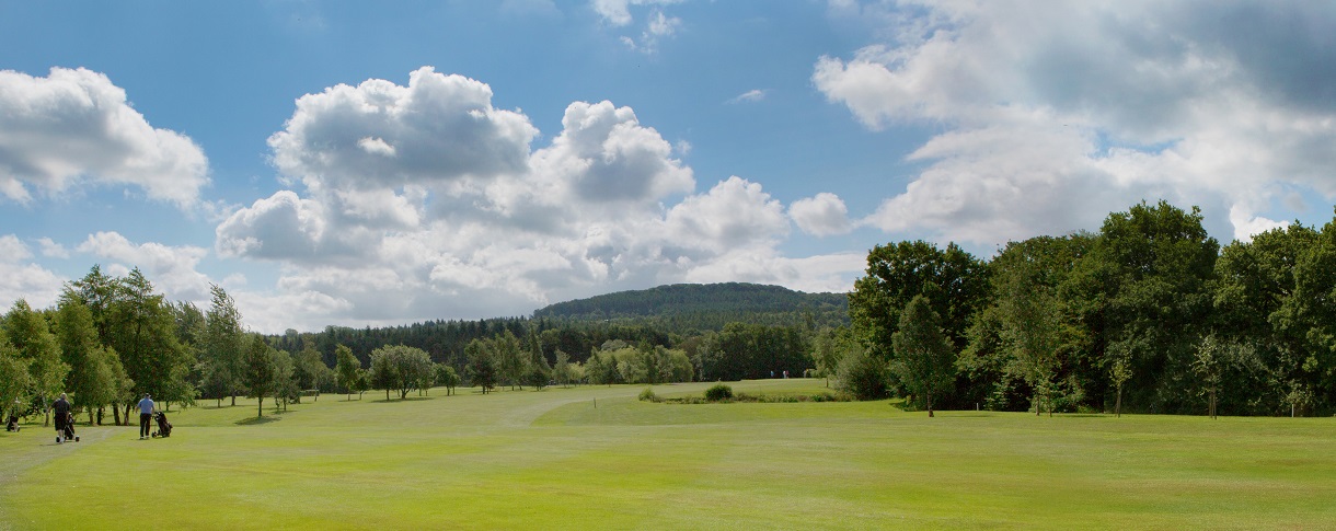 Course Tour & Information - Hagley Golf Club