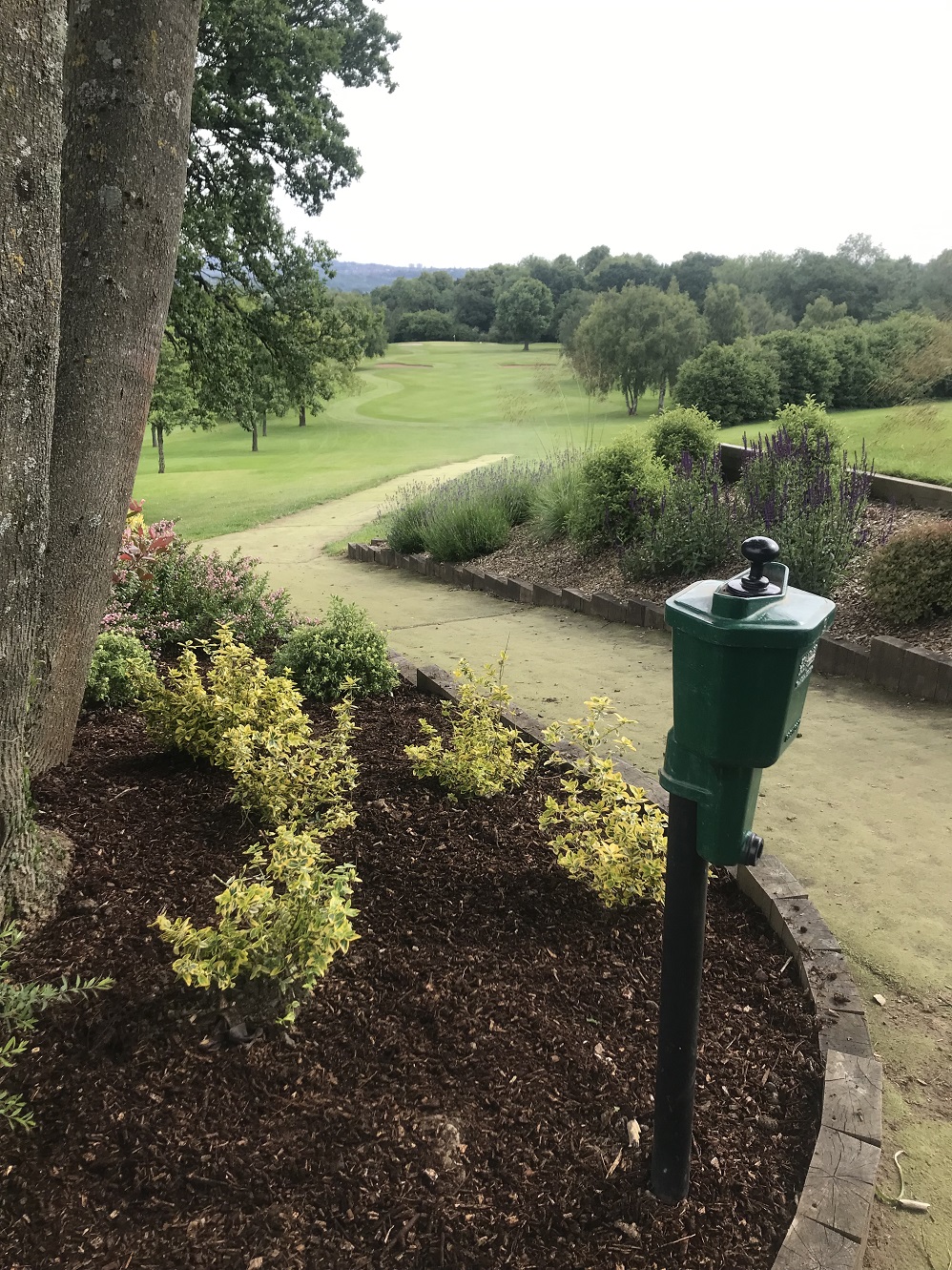 Course update - Hagley Golf Club