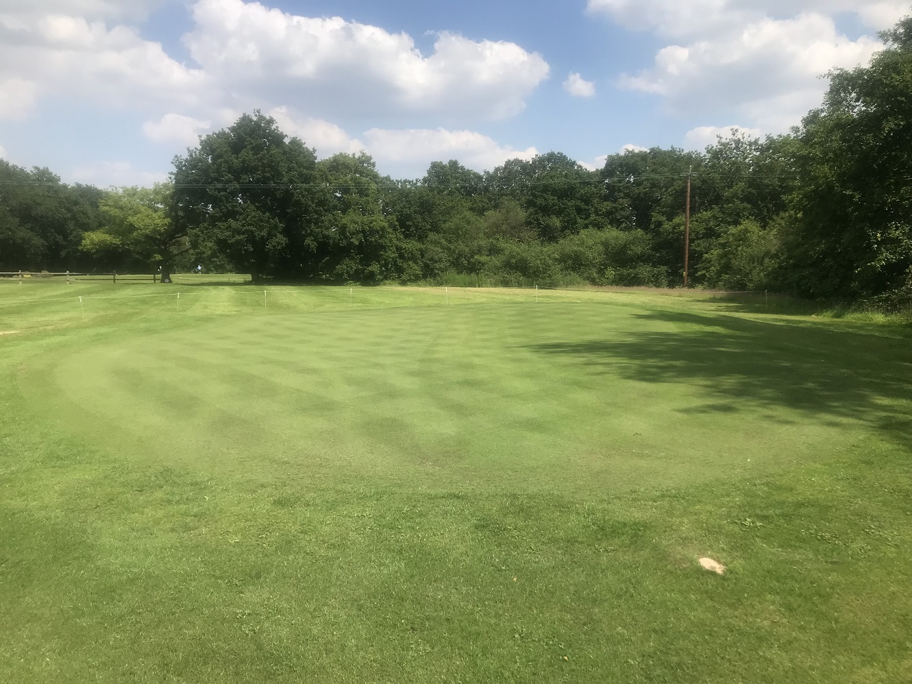 Course Update - Hagley Golf Club